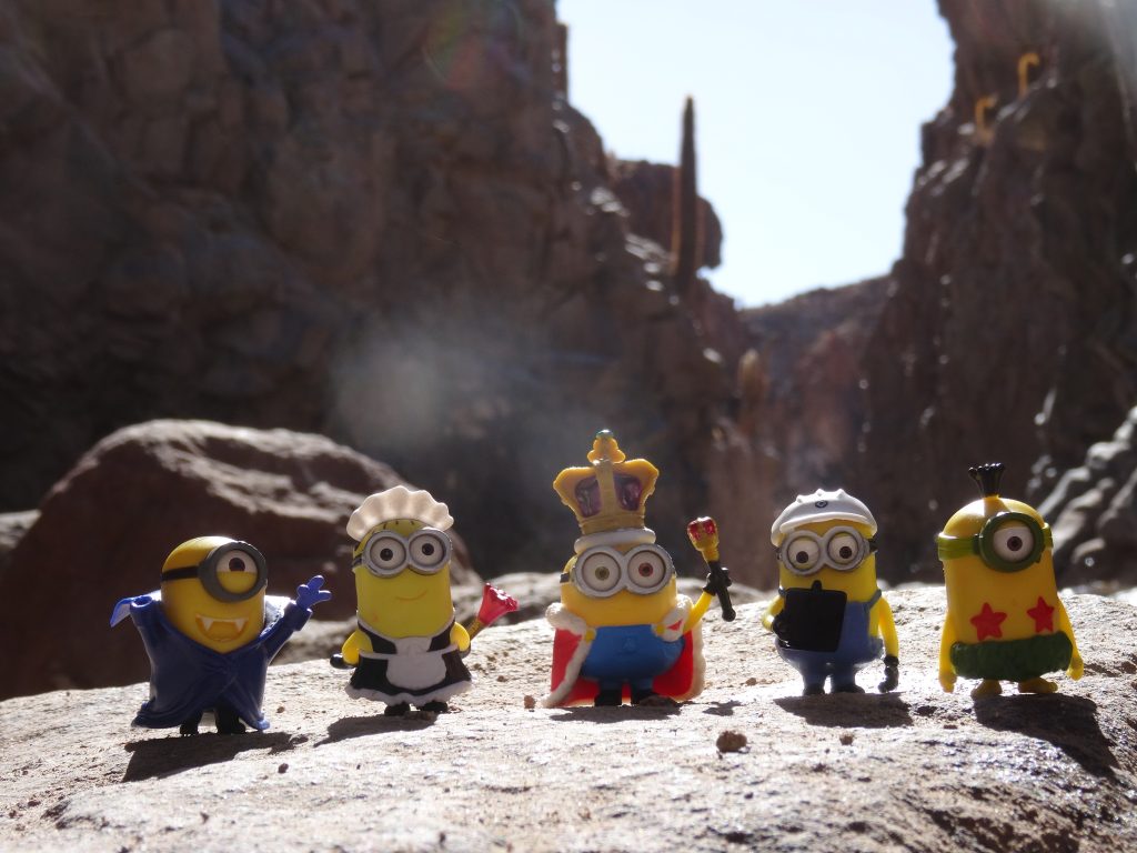 Les Minions dans la forêt de Cactus...ça pique ! - 365jours-autrement ...